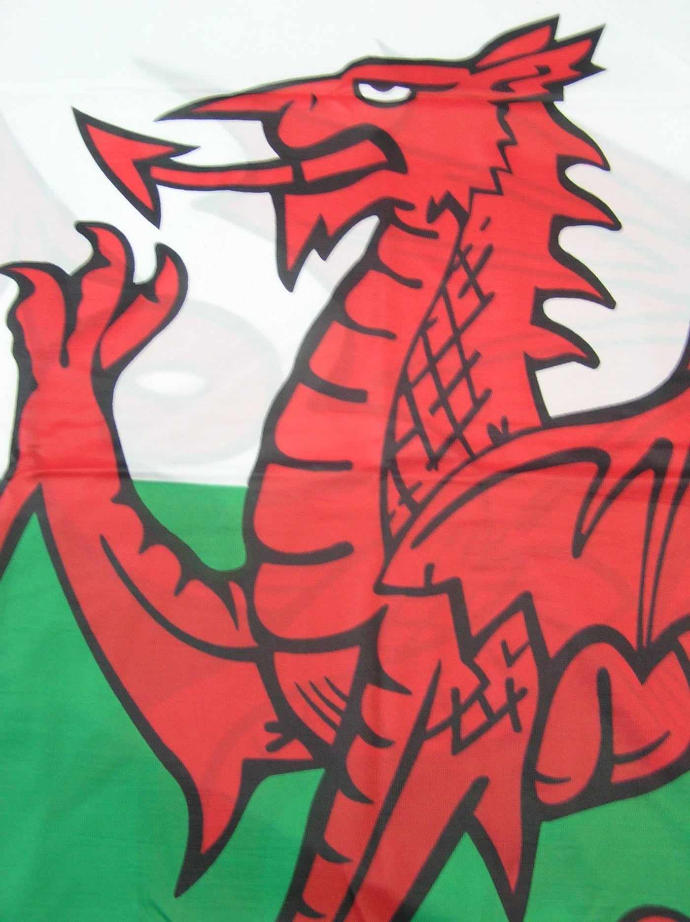 Printed Wales Flags | National Flags | International Flags – Flags and ...